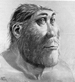 Biologia, o mito da evolução - Monografias.com