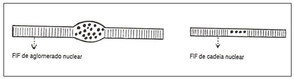 As concepções do balé como possível recurso terapêutico na fisioterapia ...
