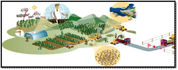 Potencialidades de Angola em energias renováveis - Monografias.com