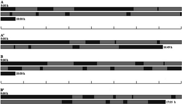 Bionomia de Monoeca xanthopyga Harter-Marques, Cunha & Moure ...