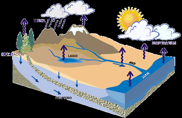 Cuencas hidrográficas del Perú Cuencas hidrográficas del Perú